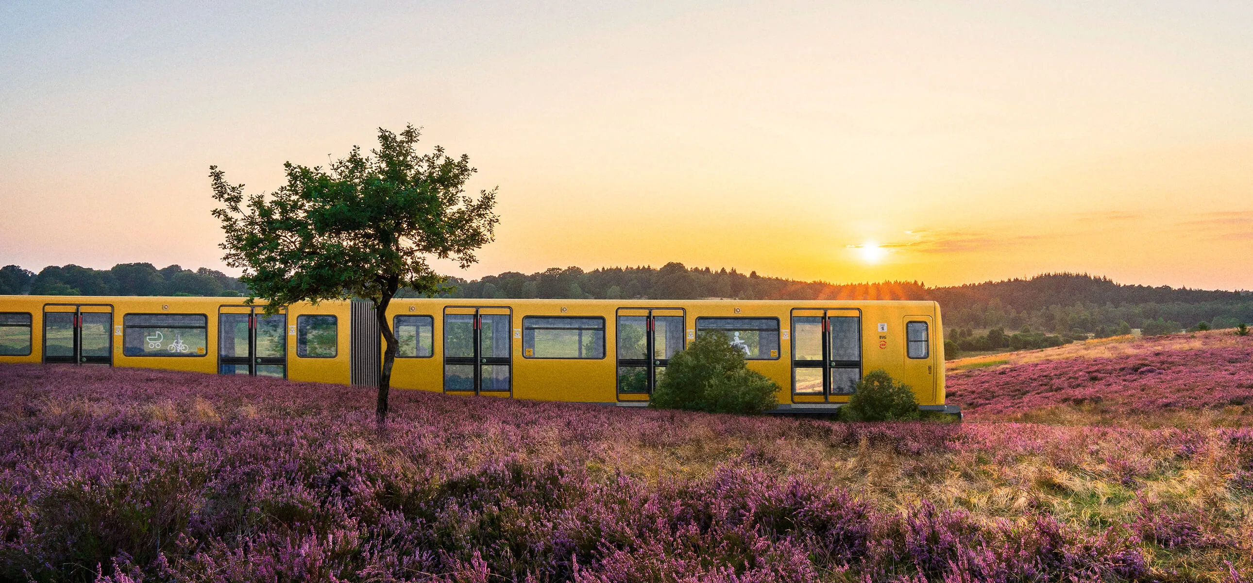 Deutschland Ticket for new customers | BVG