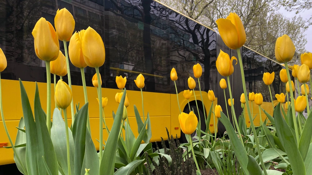 BVG-Service – Hilfe & Kontakt | BVG