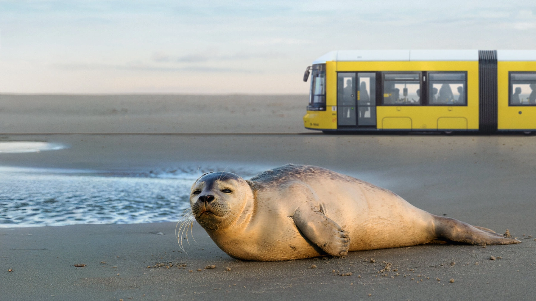 Berliner Verkehrsbetriebe: BVG - Because we love you | BVG